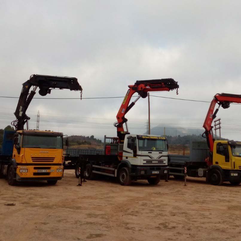 Lloguer de camions grua amb ploma a Manresa | Grues Manel i Marcel Soler